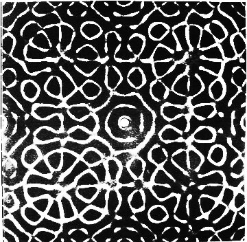 A more interesting shape is a stadium : a square with rounded endcaps.